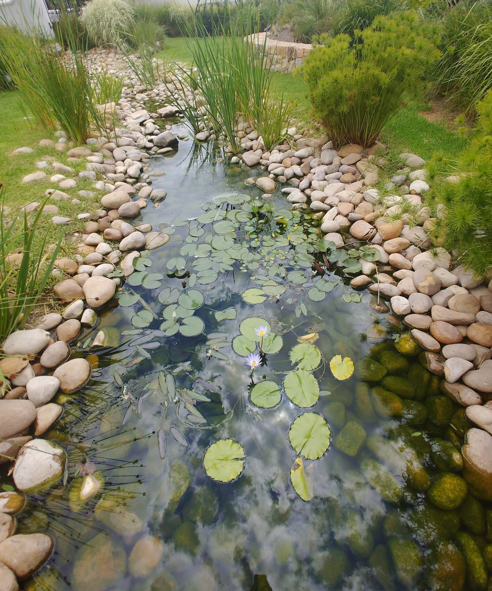 Life Purpose and Soul Alignment Coach | Emerald-Connection